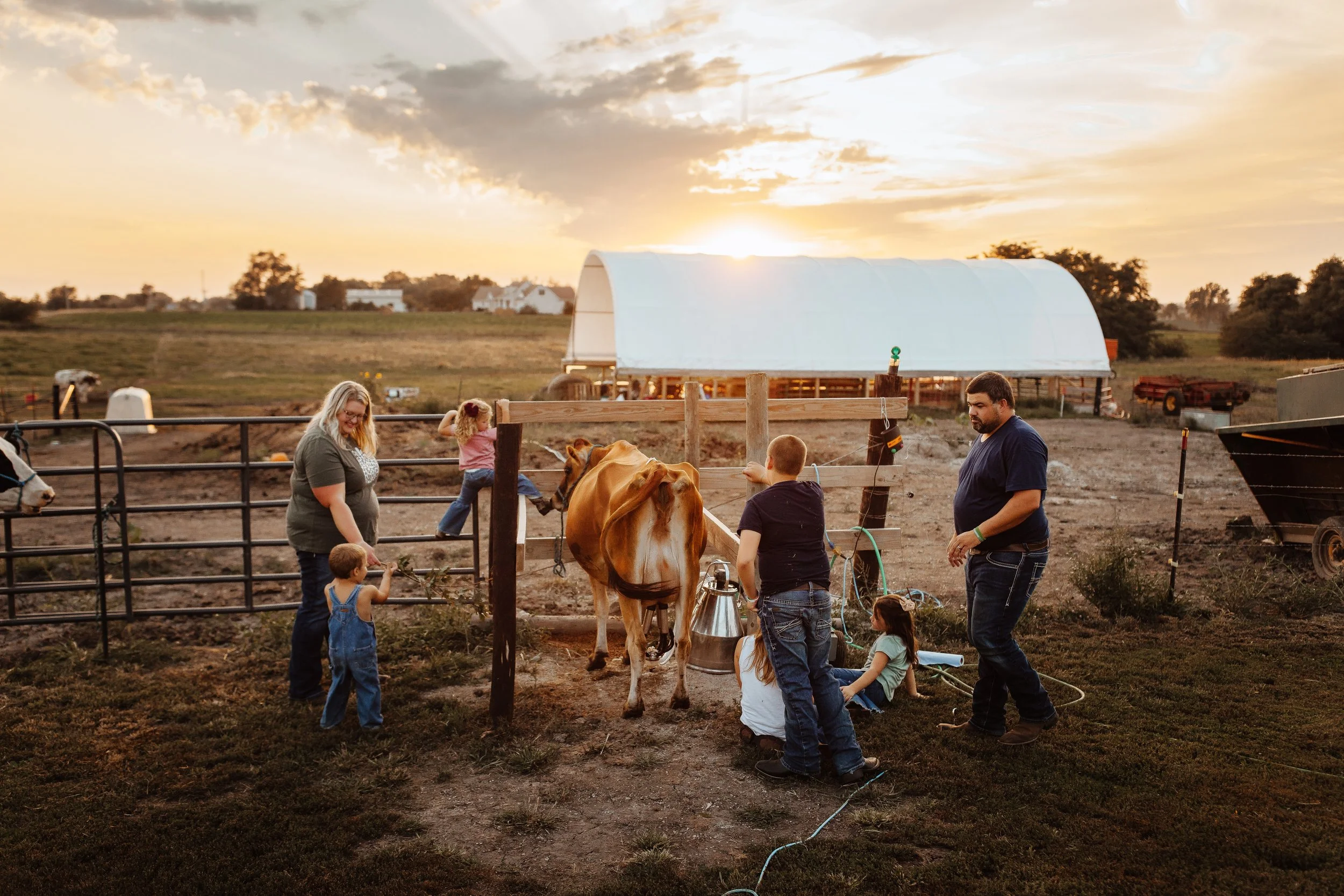 Nold Farmstead | Pasture-Raised Poultry & Dairy | Farm Fresh Eggs ...