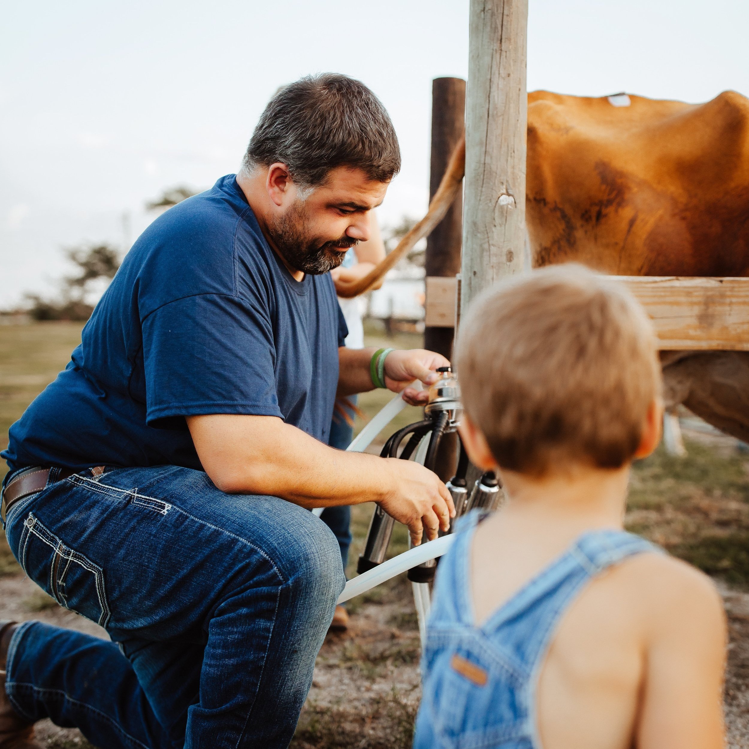Nold Farmstead | Pasture-Raised Poultry & Dairy | Farm Fresh Eggs ...