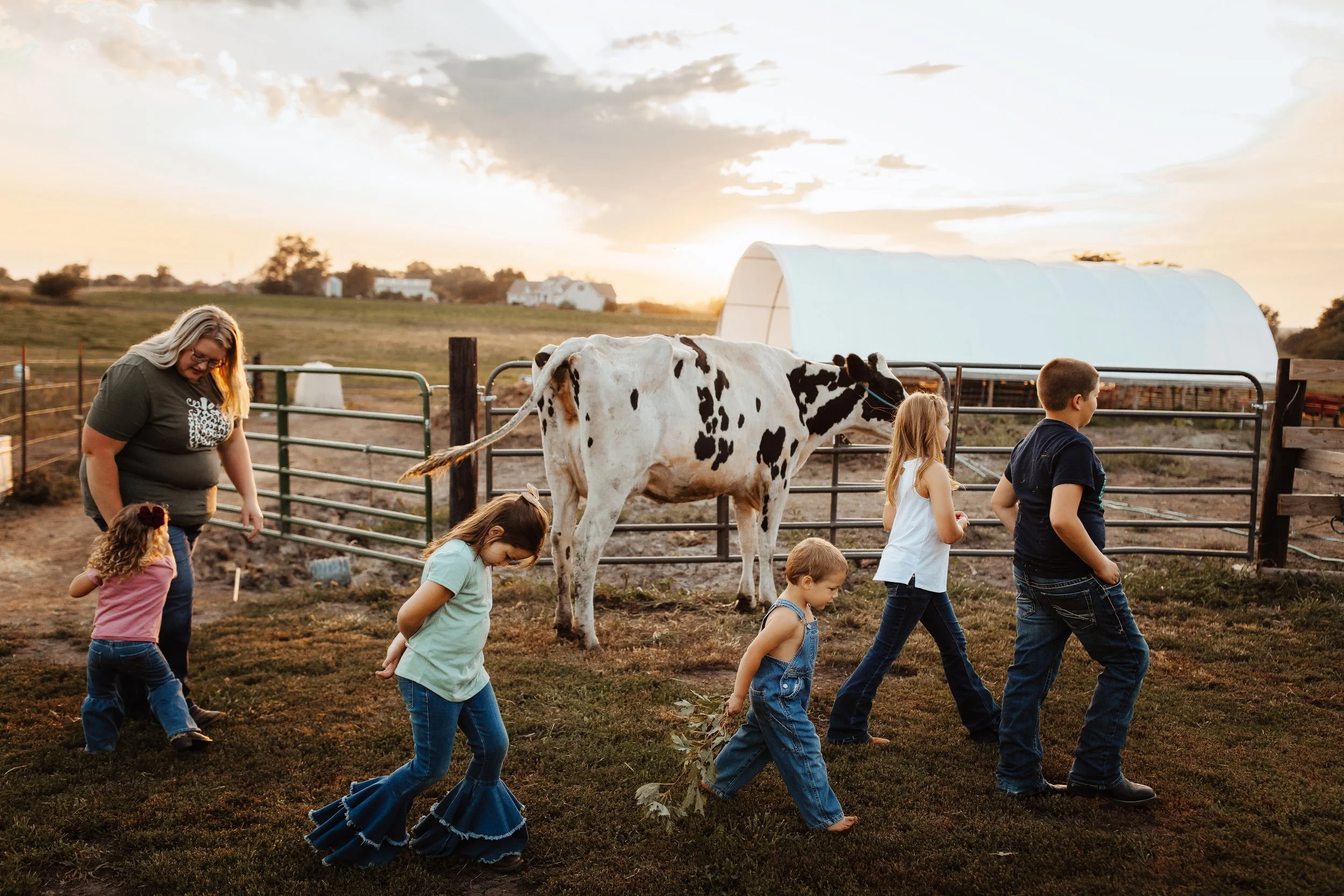 Nold Farmstead | Pasture-Raised Poultry & Dairy | Farm Fresh Eggs ...