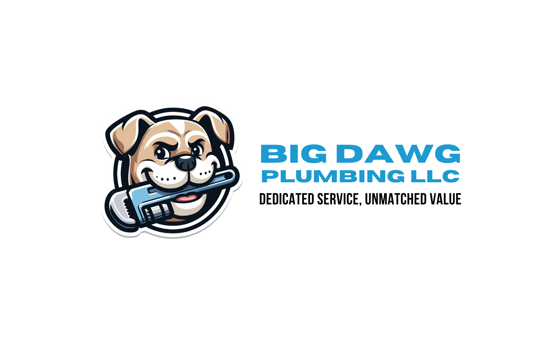 Big Dawg Plumbing