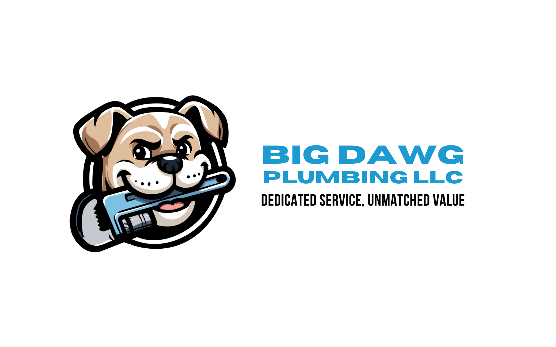 Big Dawg Plumbing Repair