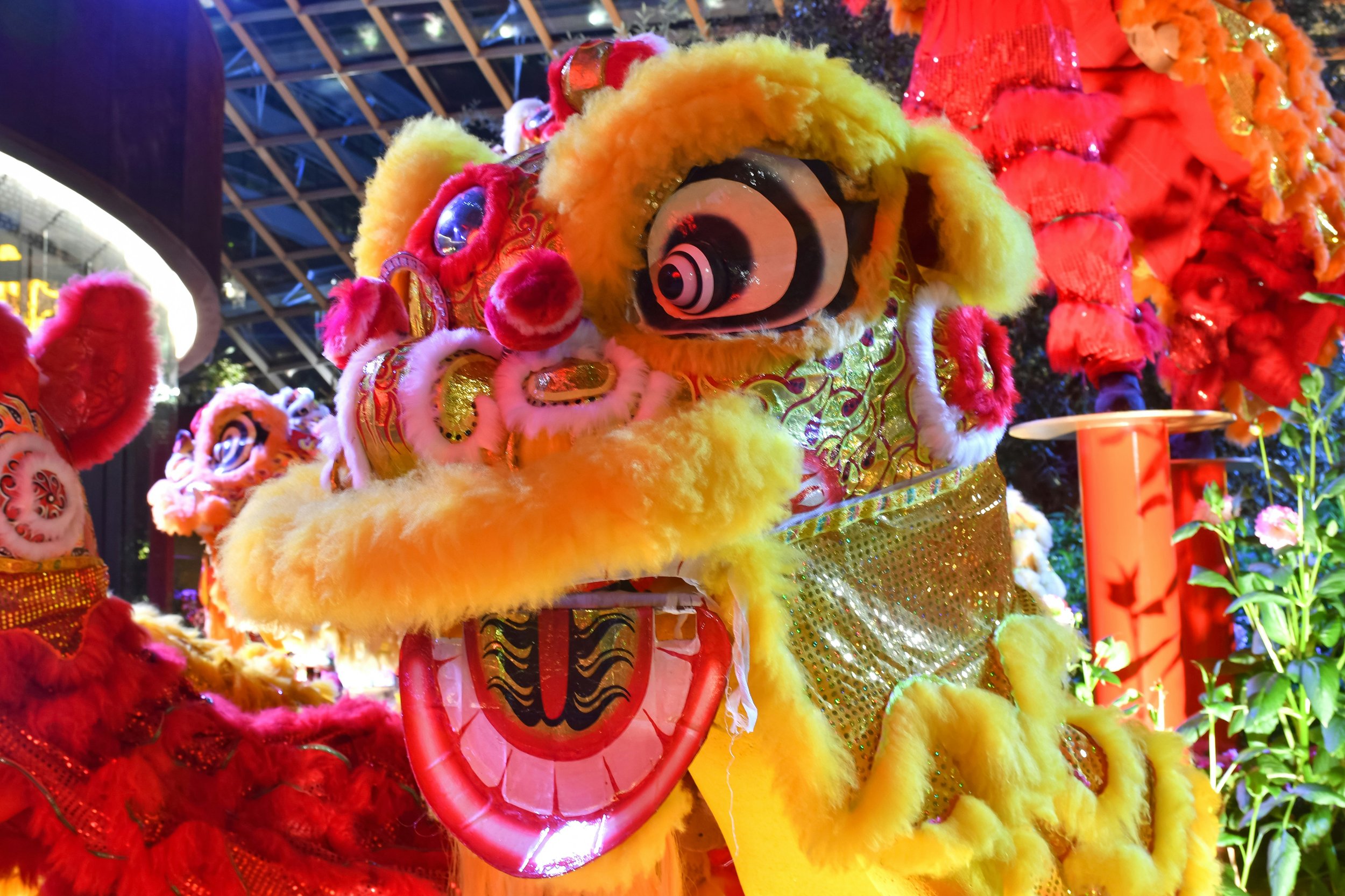 Celebrating Lunar New Year — Dynasty Dance Co.
