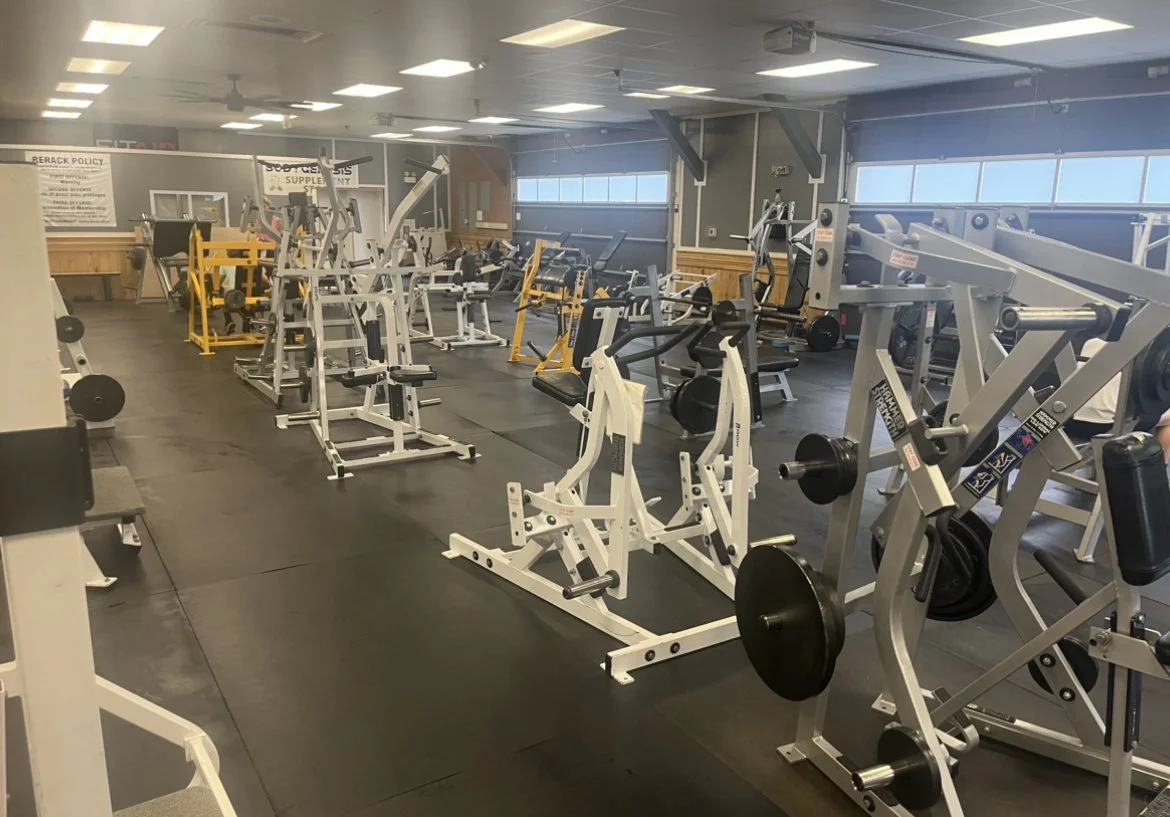 Gallery 1 — BodyGenesis