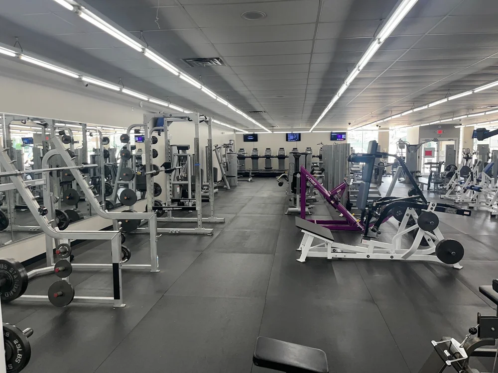 Gallery 1 — BodyGenesis