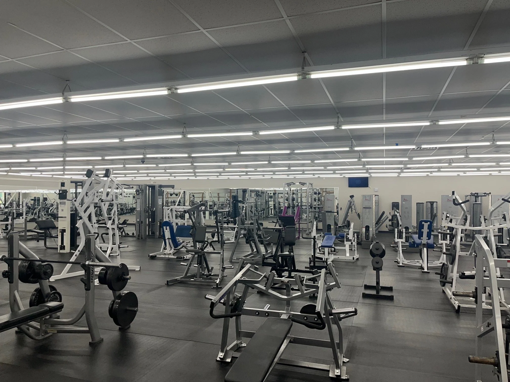 Gallery 1 — BodyGenesis