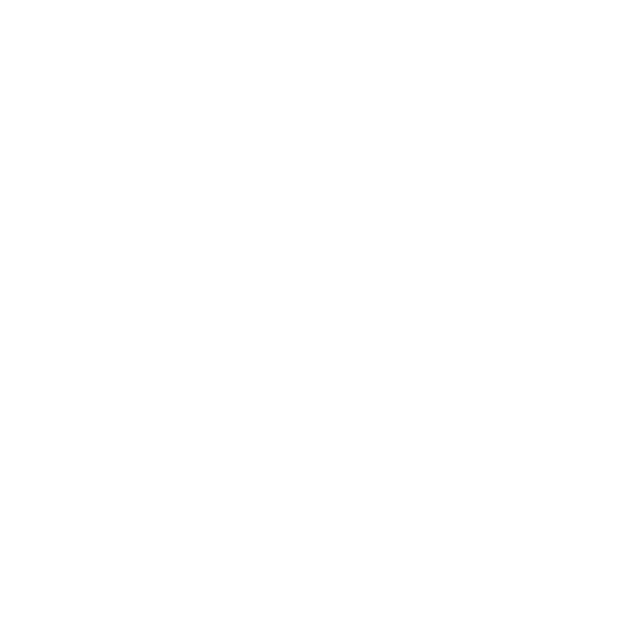 Our Story — DiMinico's