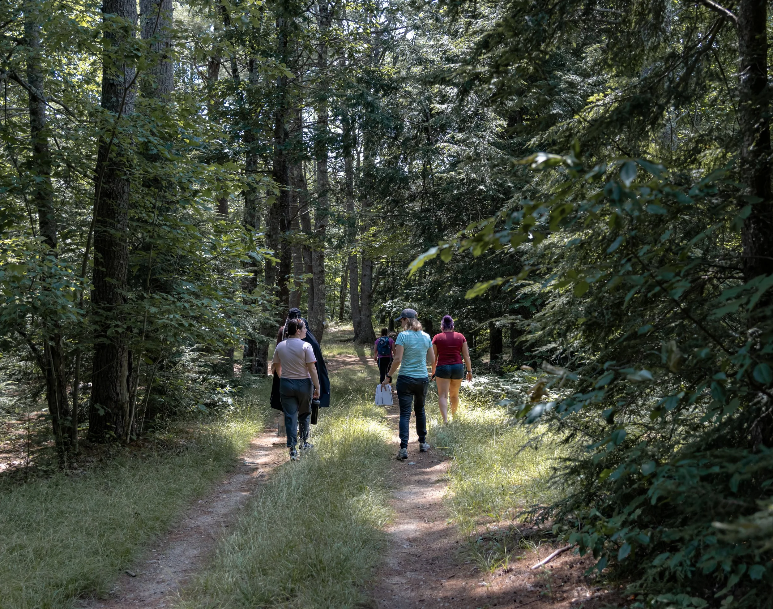 Workforce Development — Maine Youth Action Network