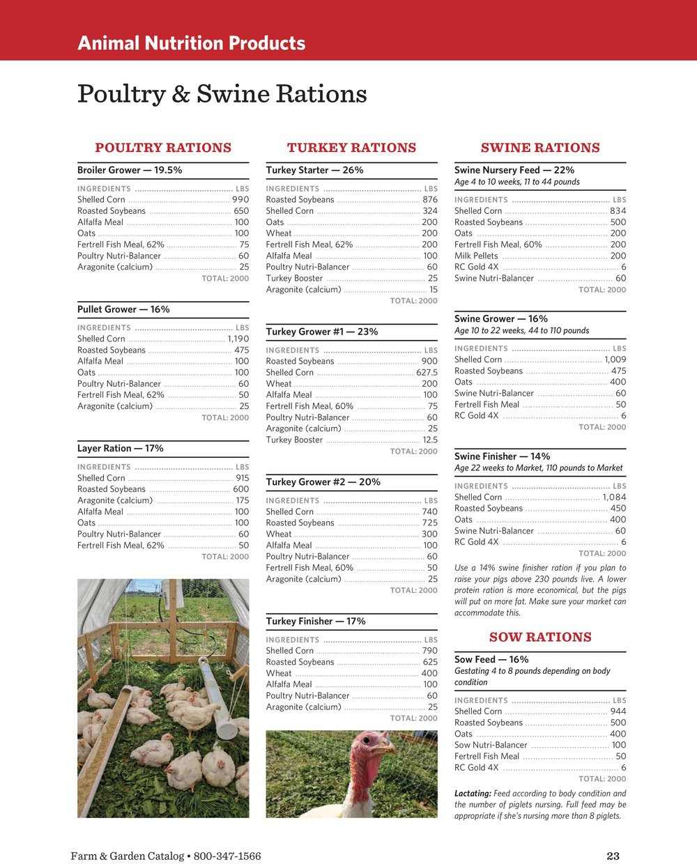 Recommended Organic Feed Rations | Balanced Nutrition for Livestock ...