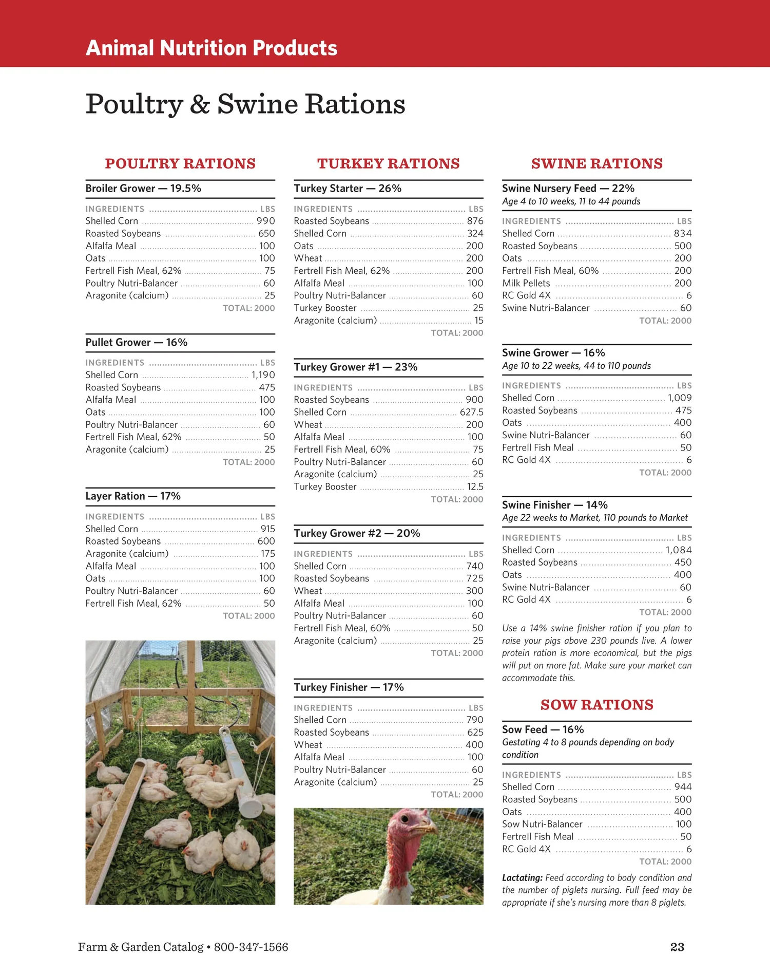 Recommended Organic Feed Rations | Balanced Nutrition for Livestock ...