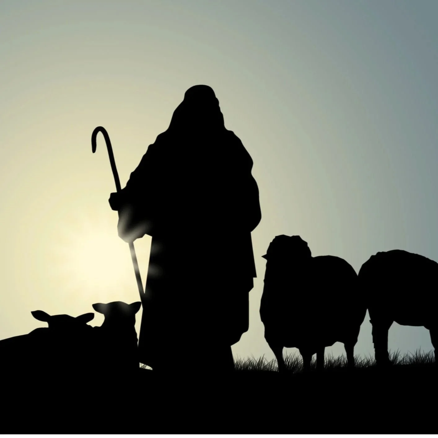 Lutheran Mission Australia