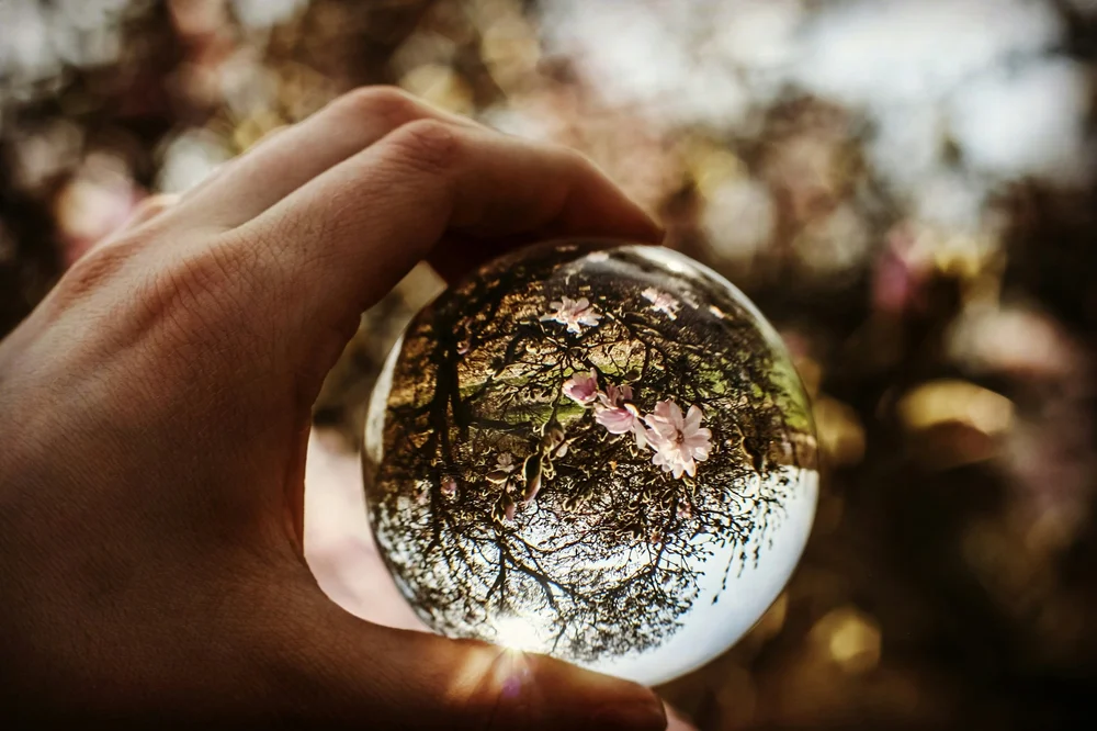 A Tampa Therapist Explains Exposure & Response Therapy — Psychology House