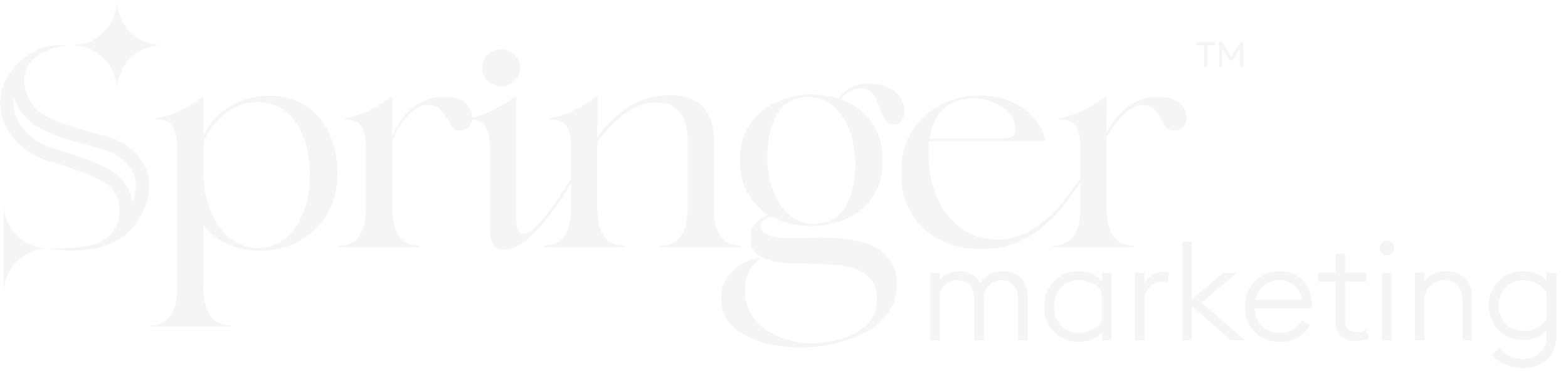 Springer Marketing | Social Media Marketing Agency in Dunedin ...