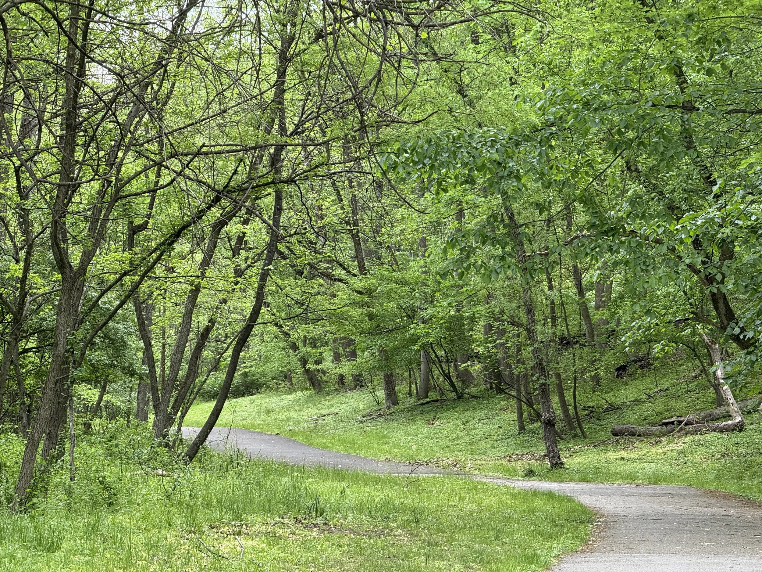 Gwynns Falls Trail | Explore and Support Baltimore Trails — Parks & People
