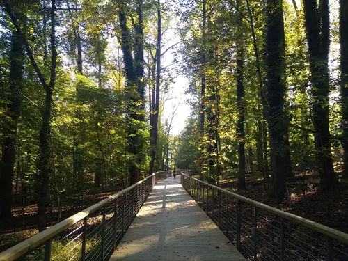 Gwynns Falls Trail | Explore and Support Baltimore Trails — Parks & People
