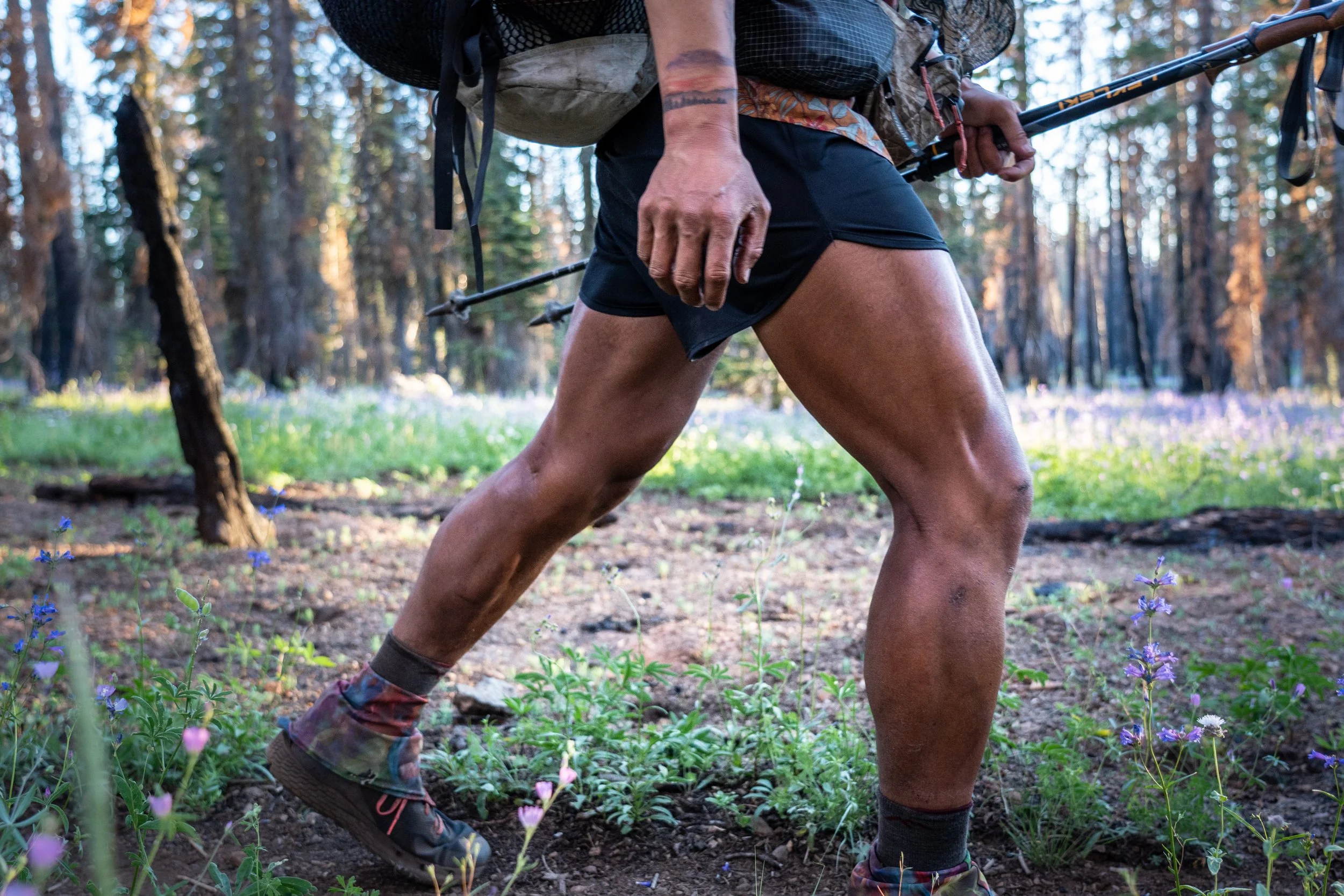 Three Month(12 week) Physical Training Plan for Thru Hiking the ...