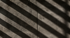 Zdarko Photography Portfolio — Zdarko Photography | Erie PA Branding ...