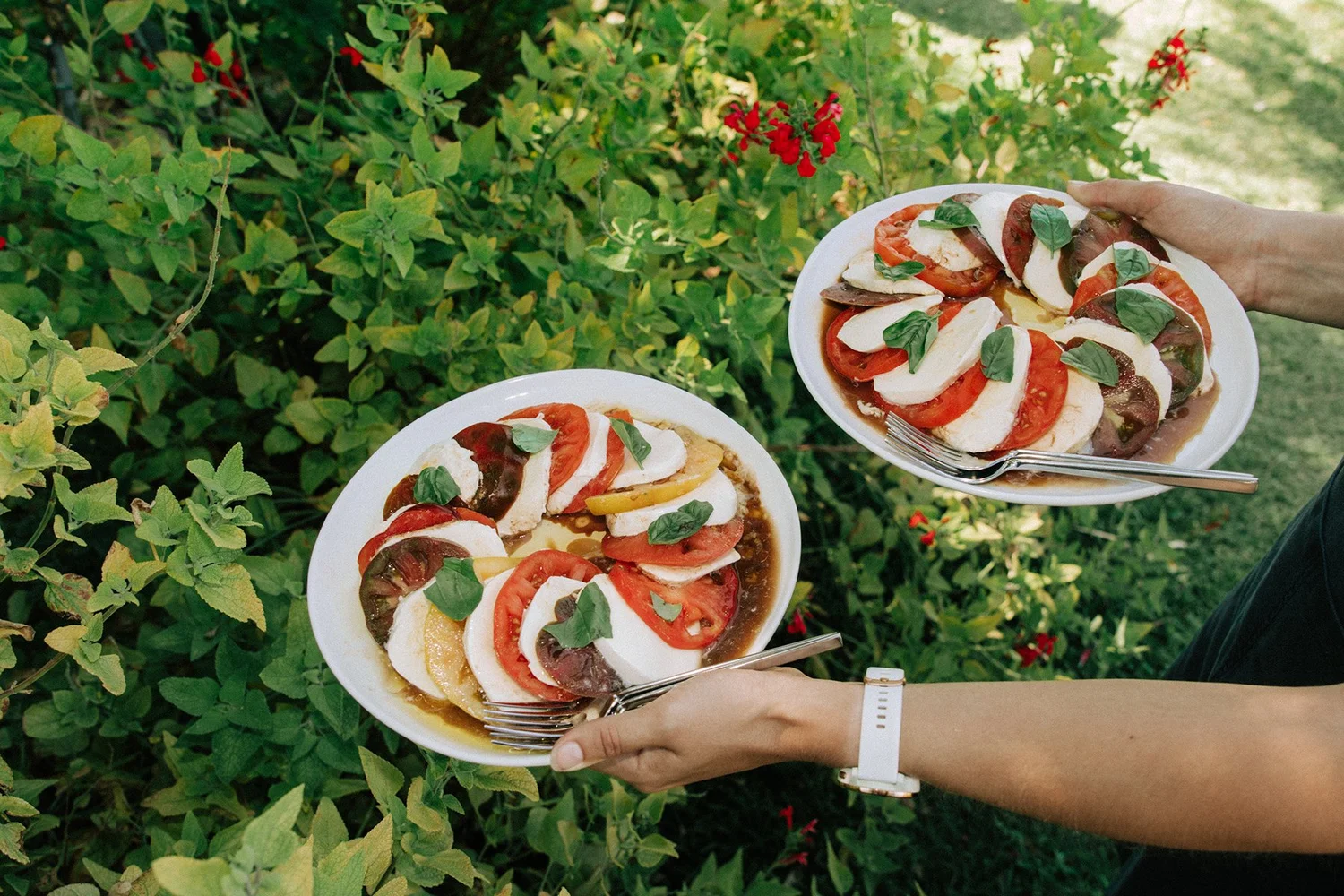 WEDDINGS — Mi Scusi