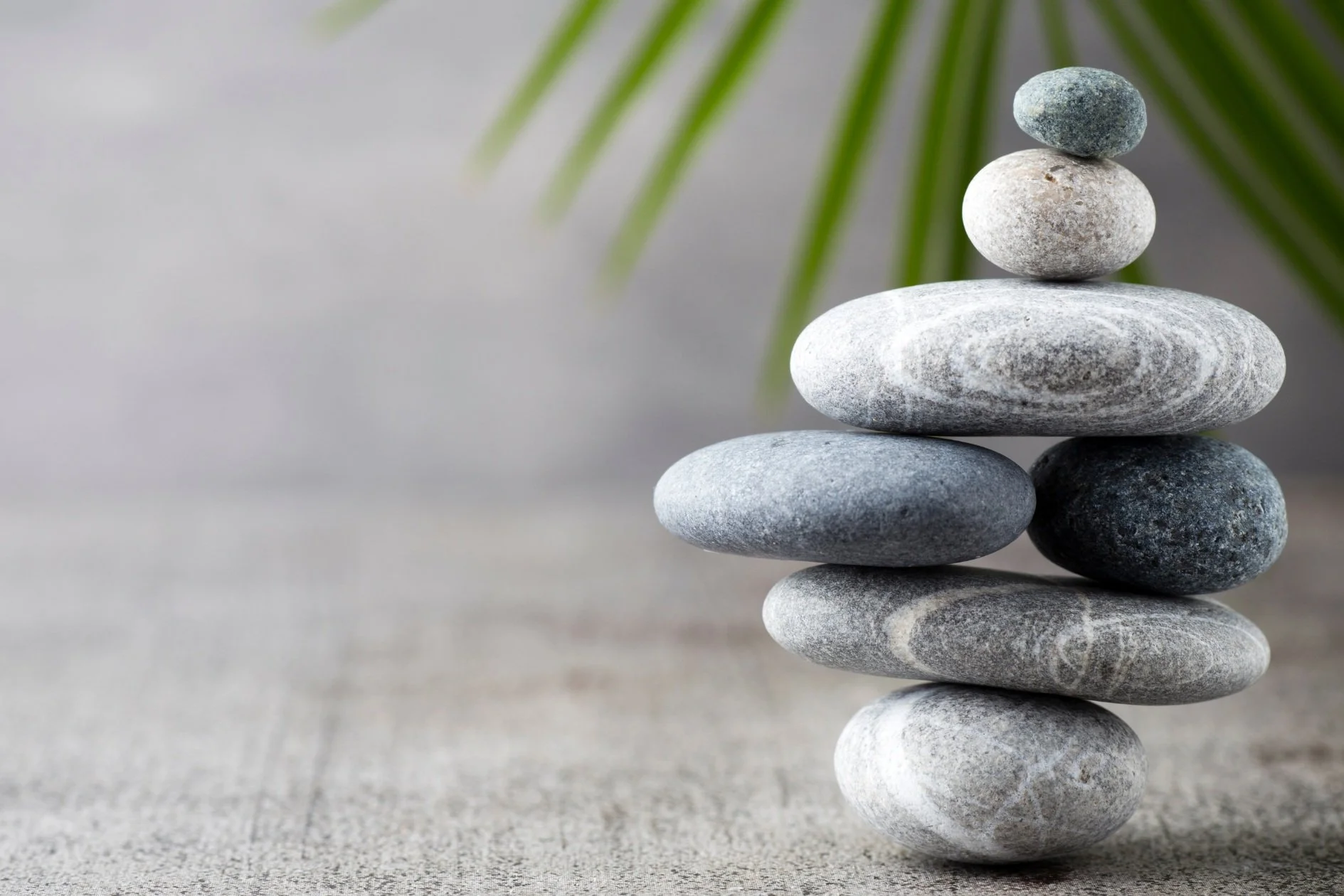 5 Practical Ways to Increase Intellectual Wellness — Whole Body Optimism™