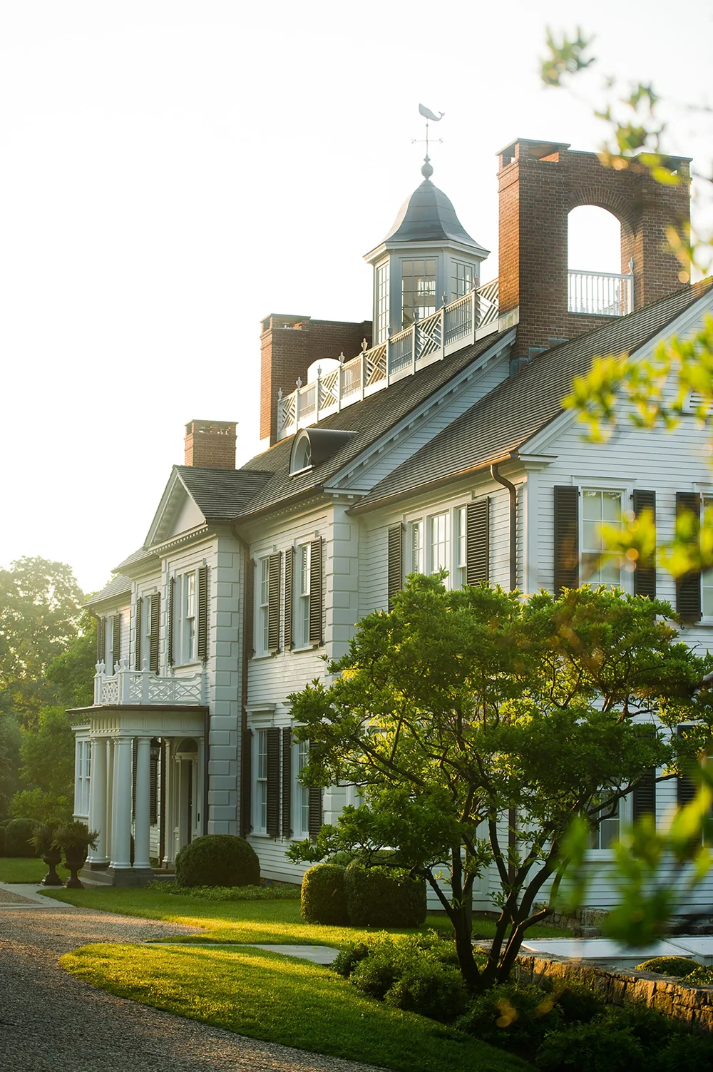 Iconic — James Doyle Design Associates