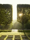 Iconic — James Doyle Design Associates