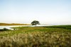 James Doyle Design Associates, Landscape Design