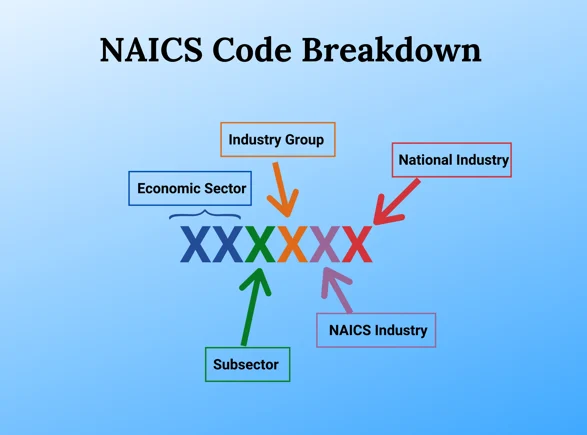 The Key to Government Contracts: NAICS and NIGP Codes — Emerge and Rise