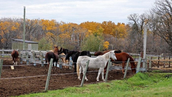 Oakbank, Manitoba Real Estate | Peaceful Living Near Winnipeg with Real ...