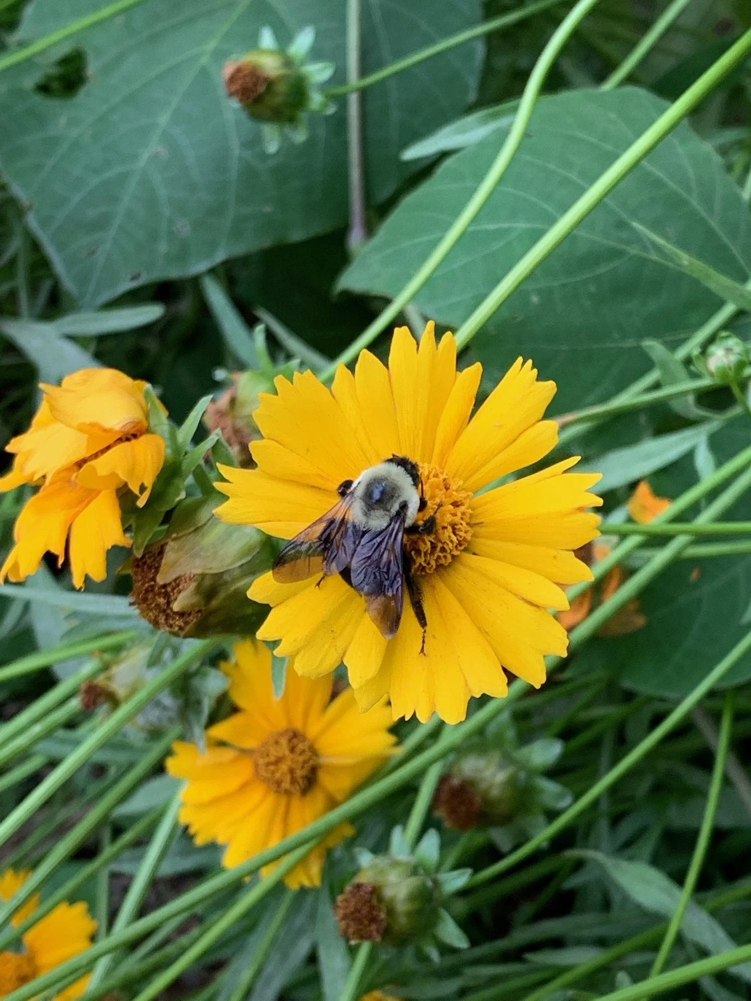 Camp Quarry Trails Urban Wilderness Campground In South Knoxville ...