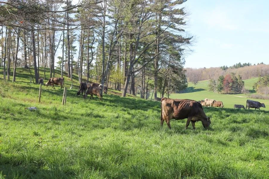 Shelburne Farms — Climate Farm School