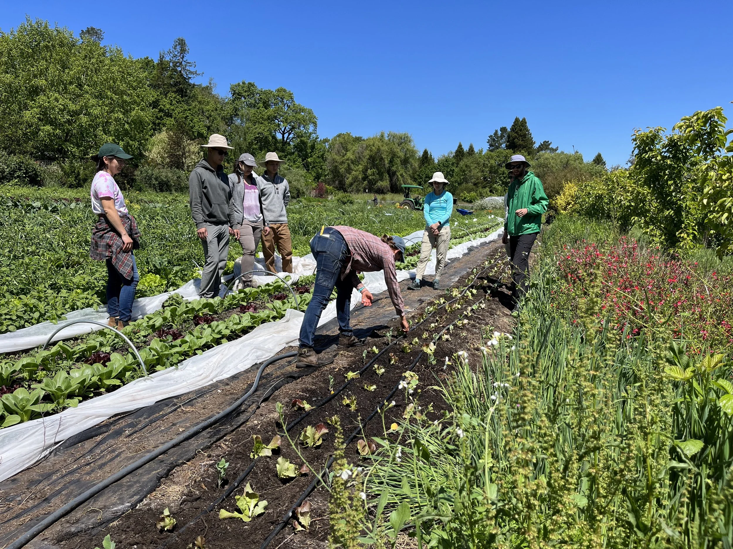 Climate Farm School for Teams & Organizations — Climate Farm School