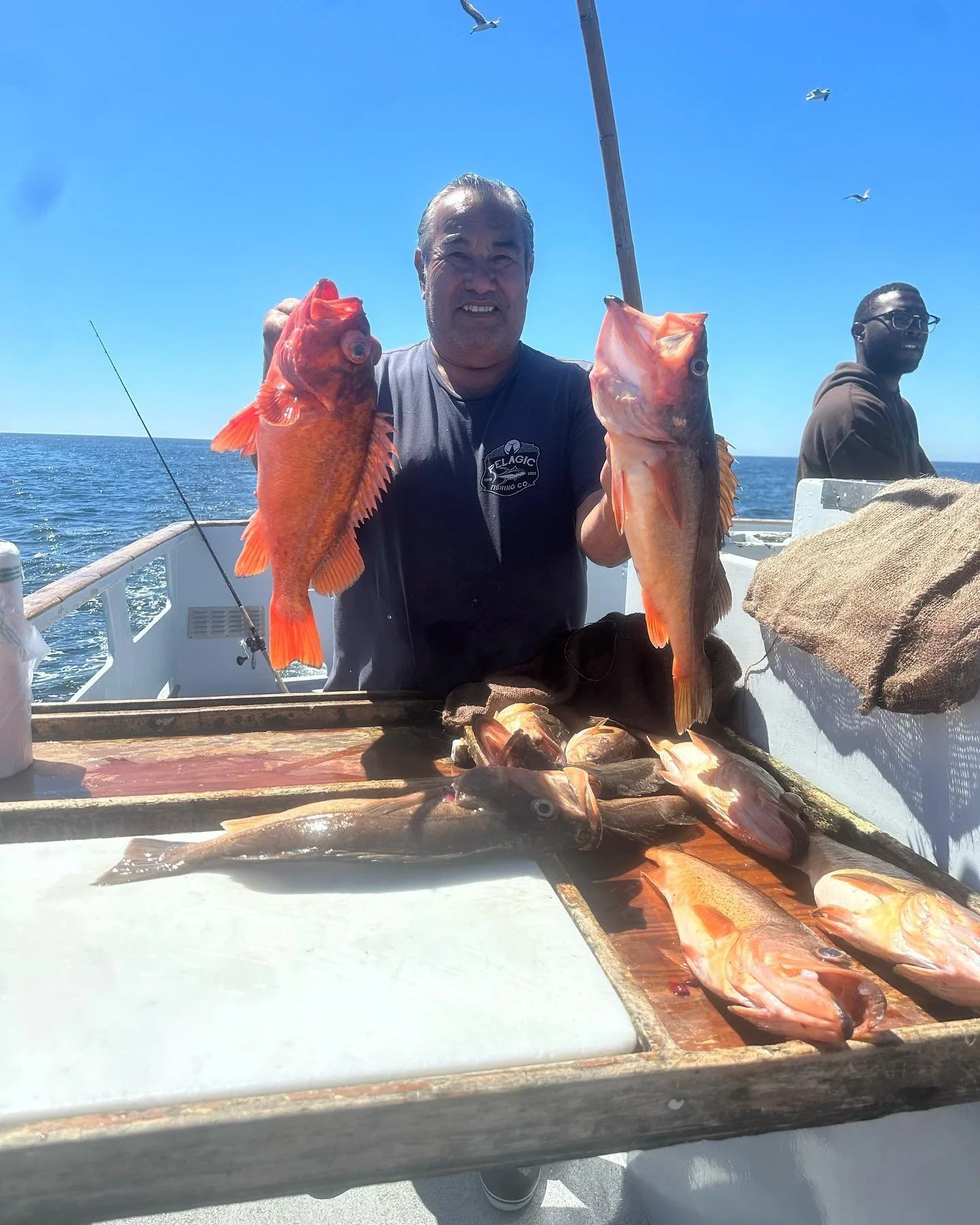 Spitfire Sportfishing - Marina Del Rey Sportfishing Charters