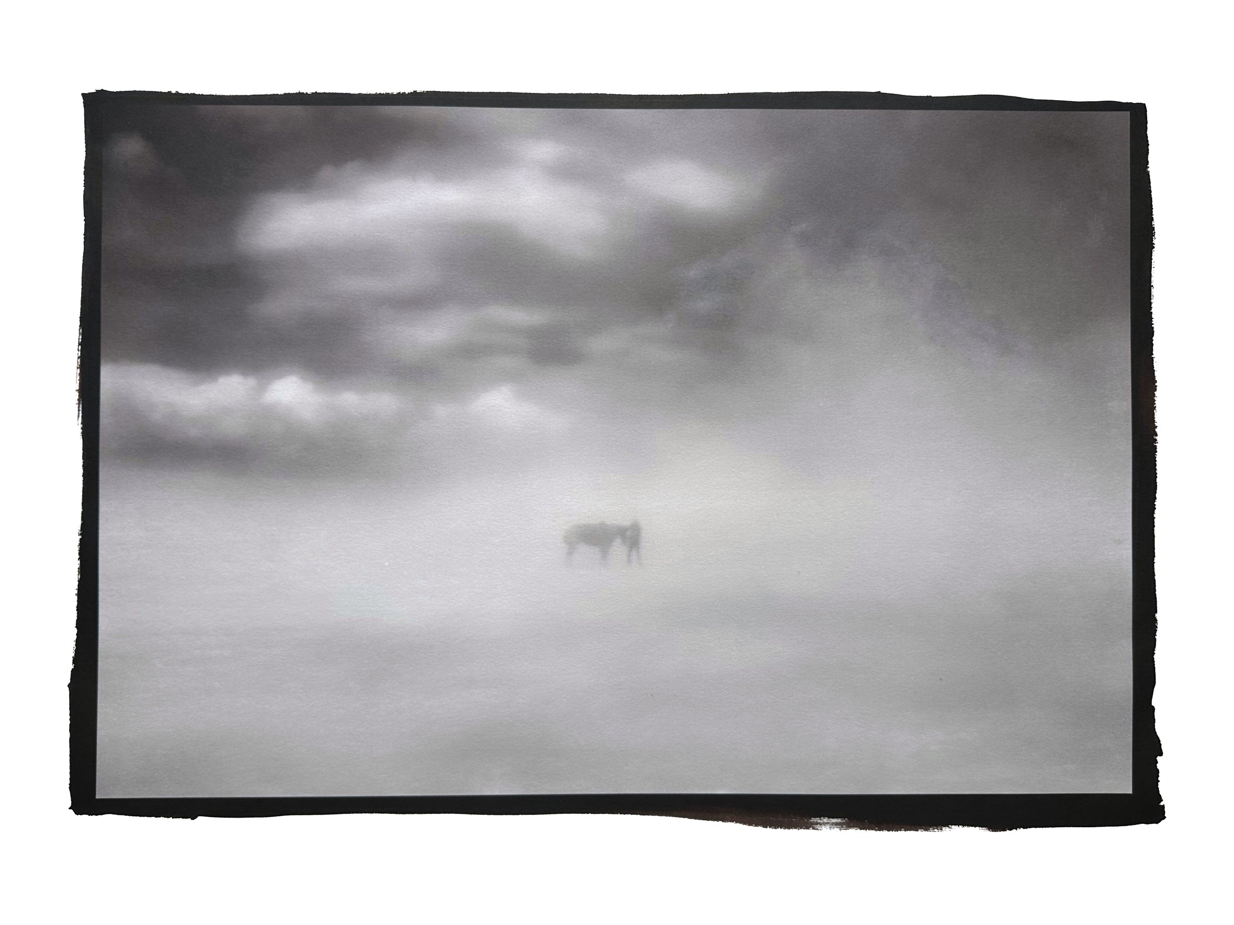 FULLER, ALEXANDRA — MODERN WEST FINE ART
