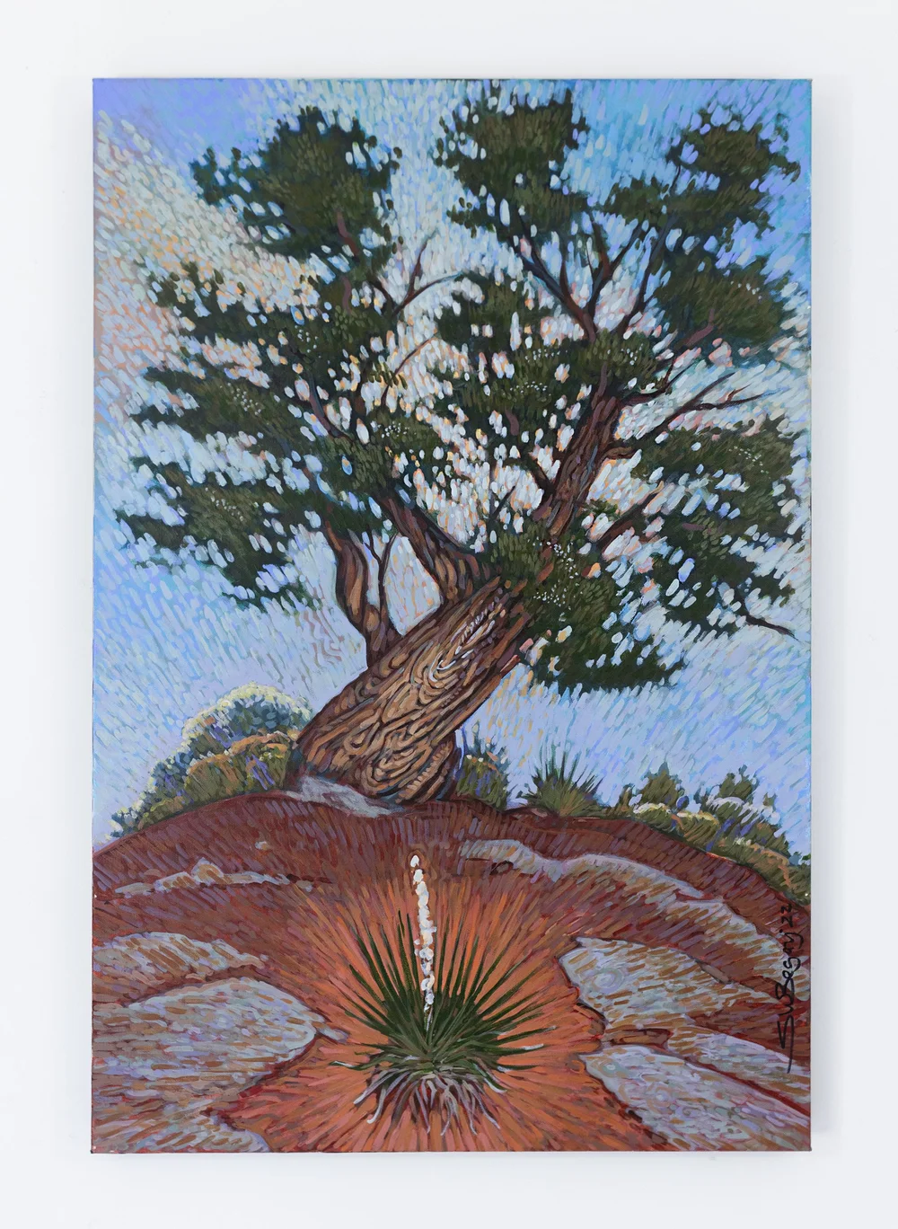 Yucca Tree — MODERN WEST FINE ART