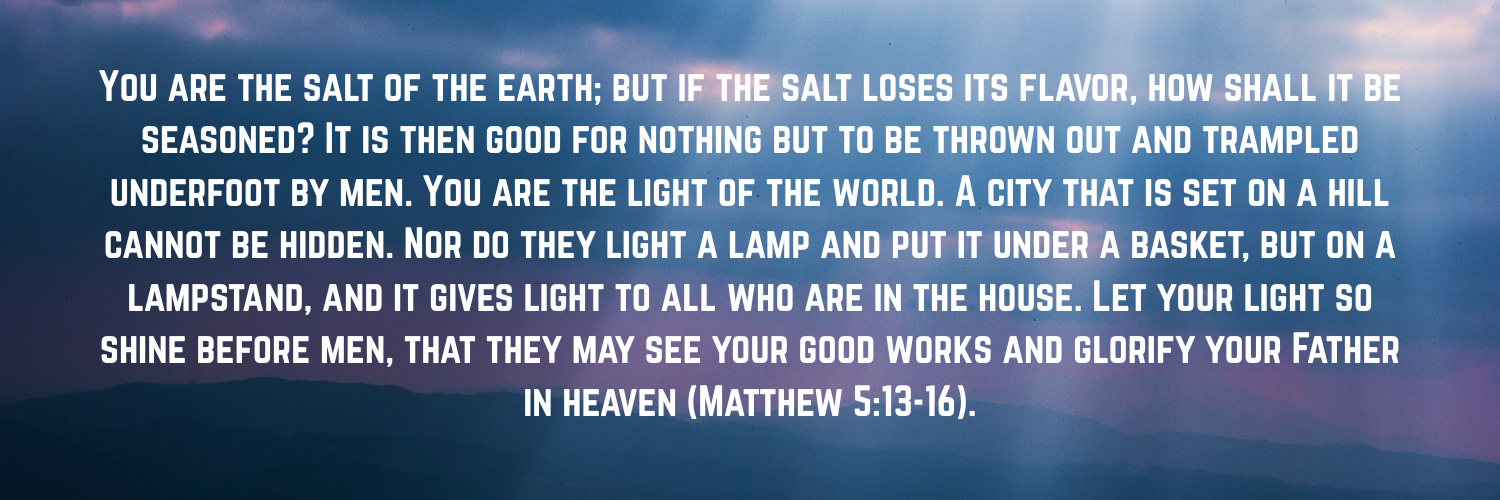 The Call to be Salt and Light | Mark Edwards | Weekly Devotional ...
