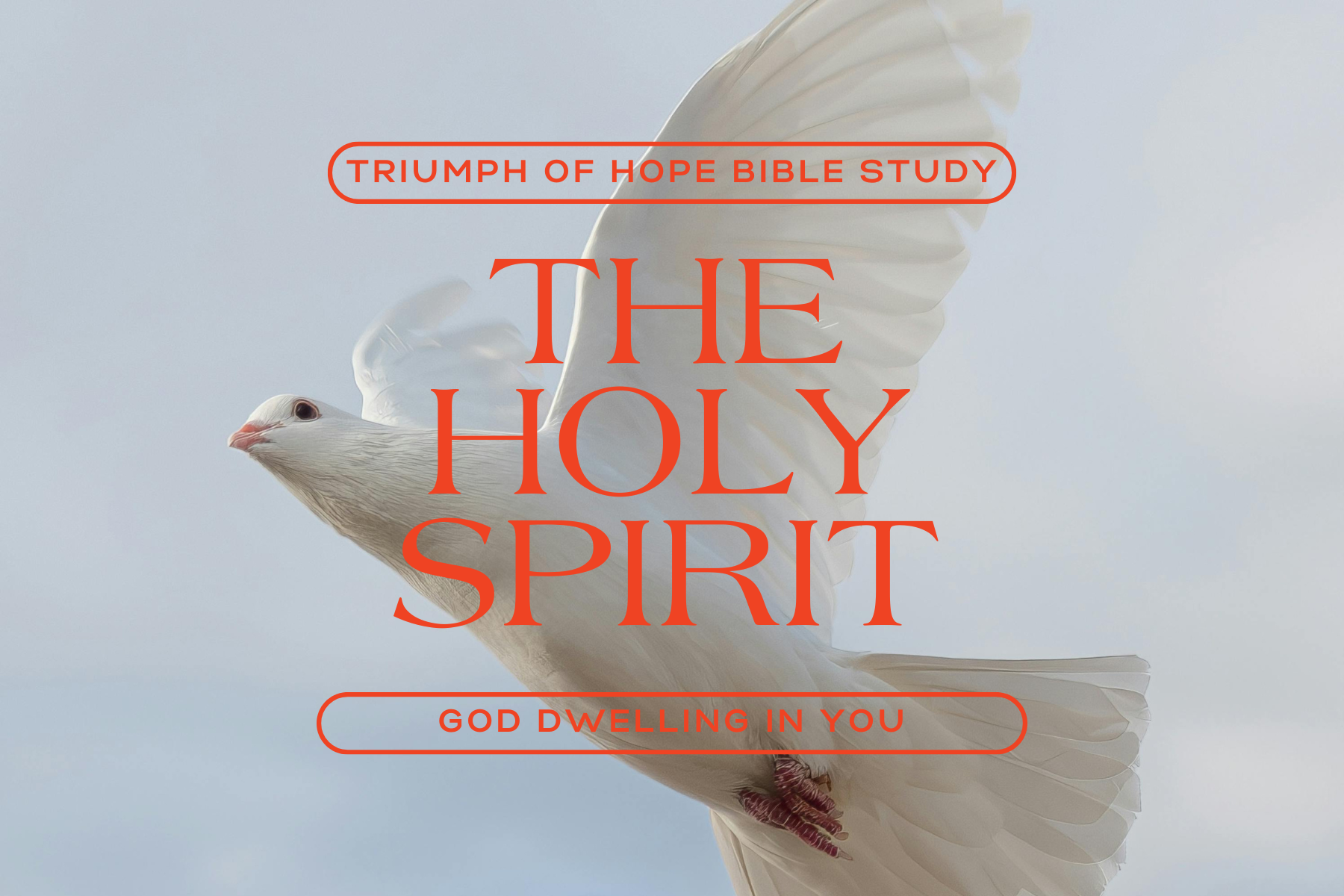 The Holy Spirit - God Dwelling in You: Women’s Bible Study — Triumph of ...