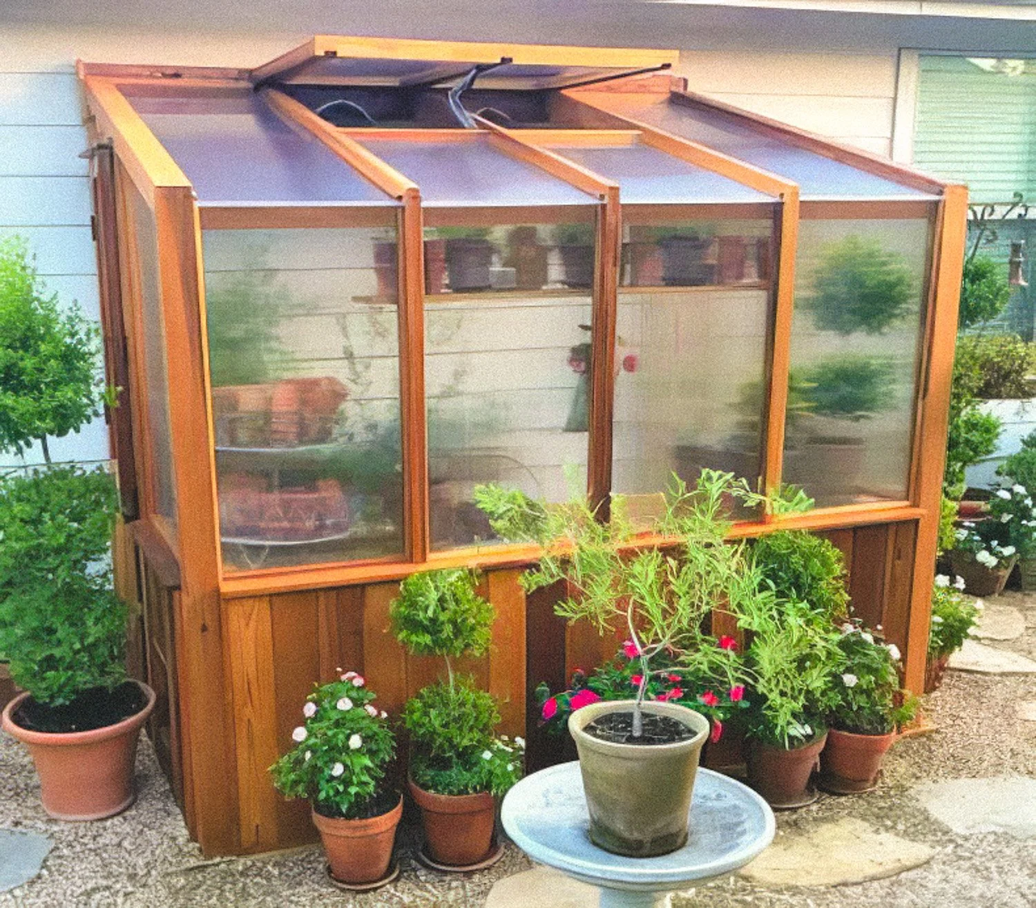 12' Wide Cedar Wood Greenhouse Kits | Grandeur for Your Garden — Cedar ...