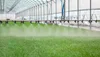 Essential Guide to Greenhouse Watering System — Cedar-Built Greenhouses