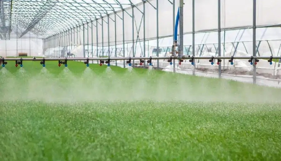 Essential Guide to Greenhouse Watering System — Cedar-Built Greenhouses