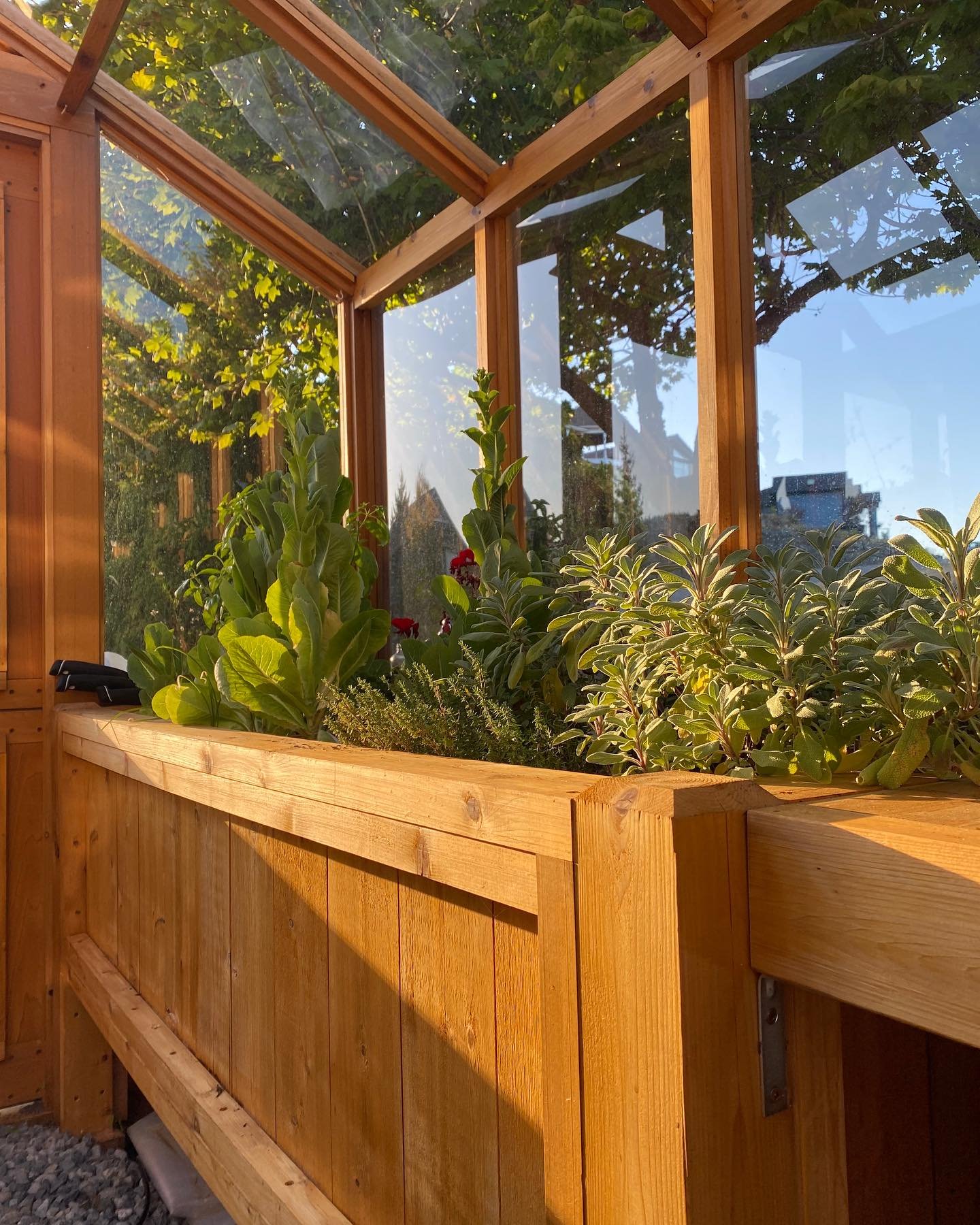 Cedar-Built Greenhouses / DIY Wood Kits