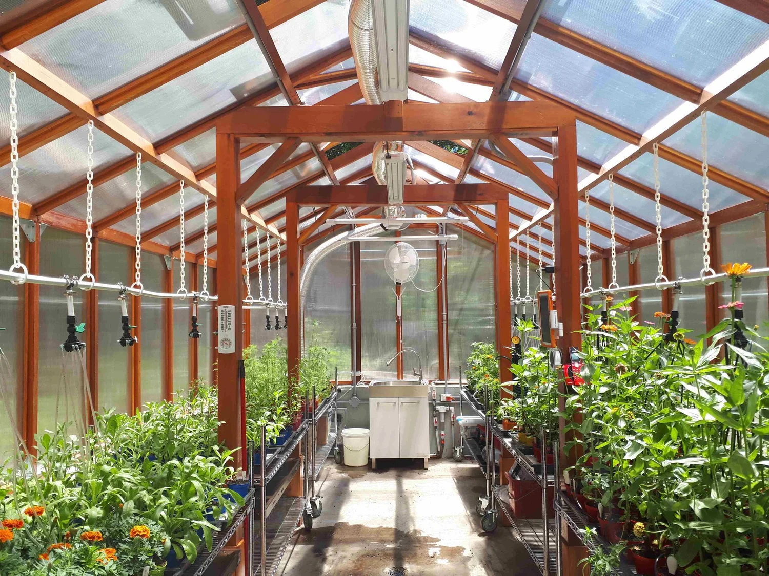 Insulation & Cedar Siding Options | Cedar-Built Greenhouses — Cedar ...
