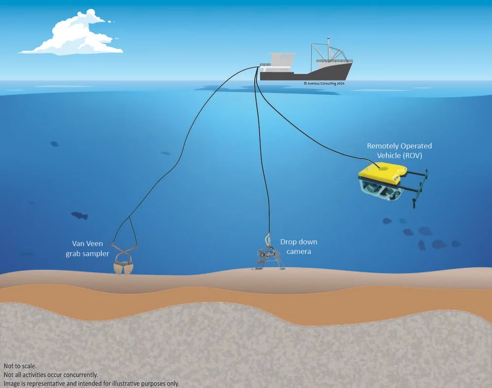 Planning & Surveys — Gippsland Skies Offshore Wind