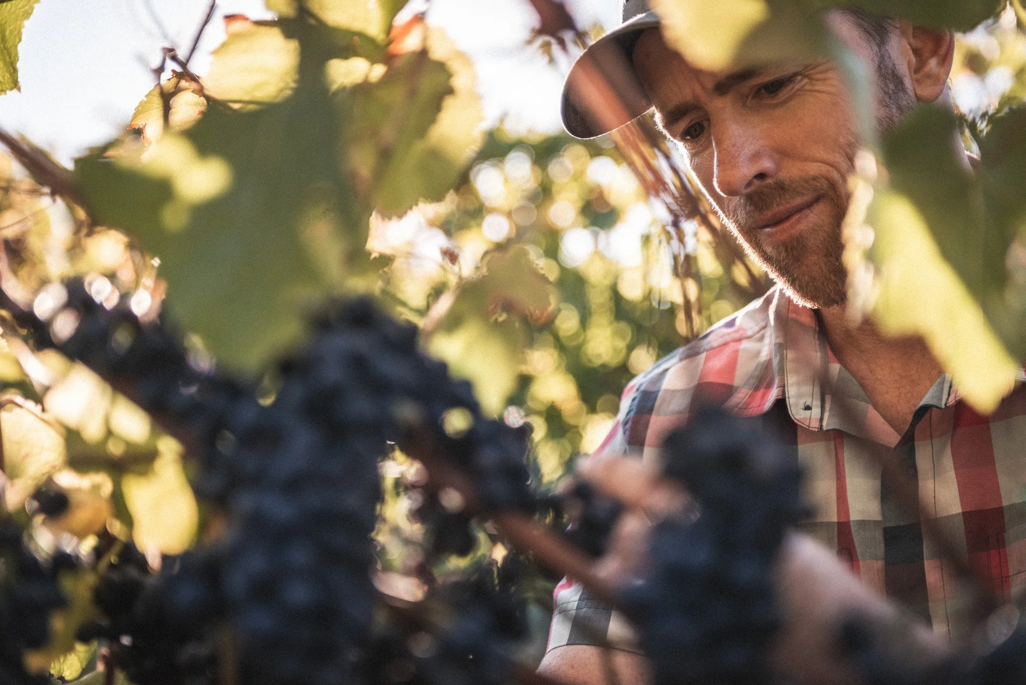 Our People — Martinborough Vineyard