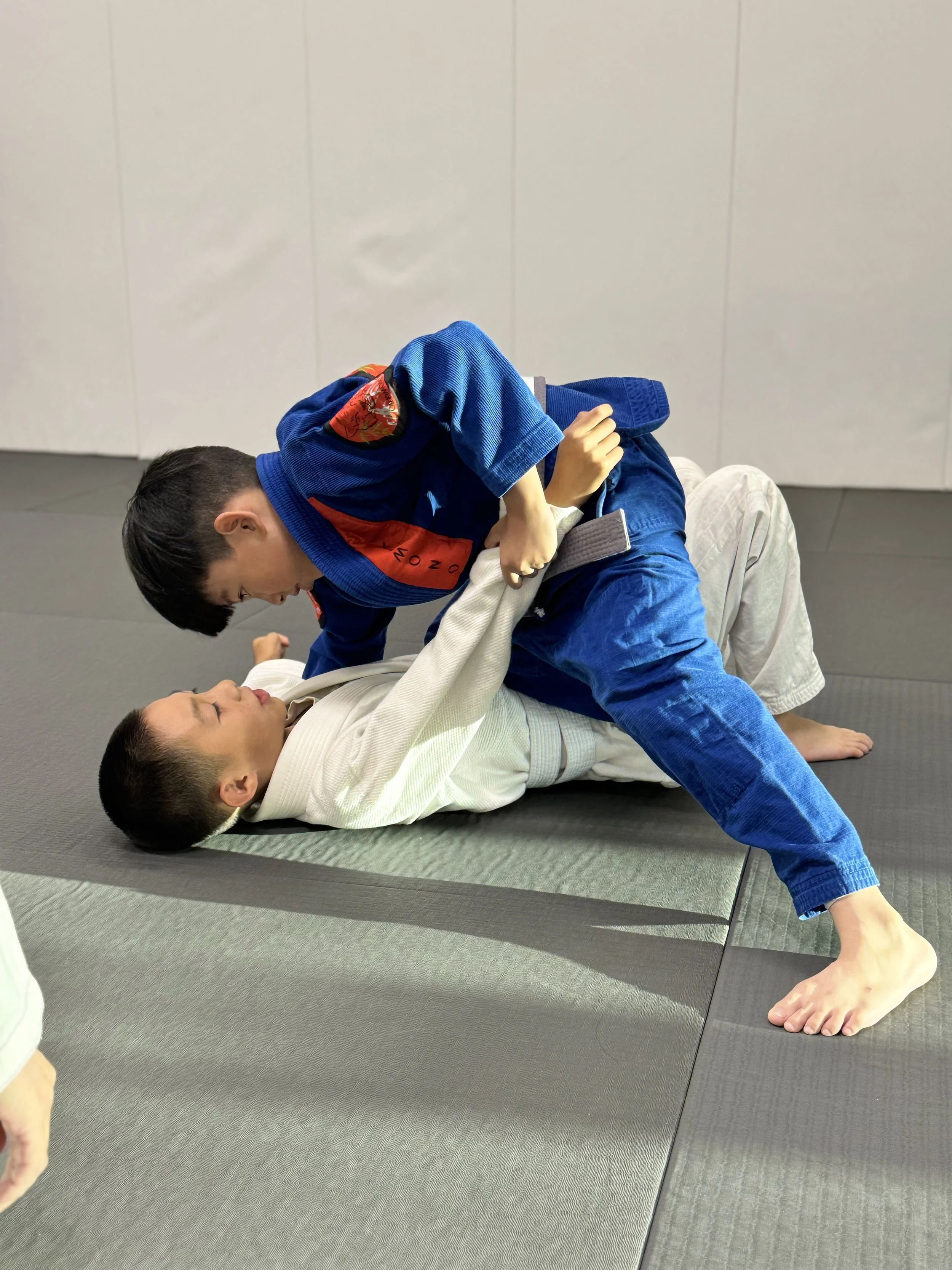 Cai Jiu-jitsu Academy Inc., Kosen Judo, Judo Classes, Brazilian Jiu ...