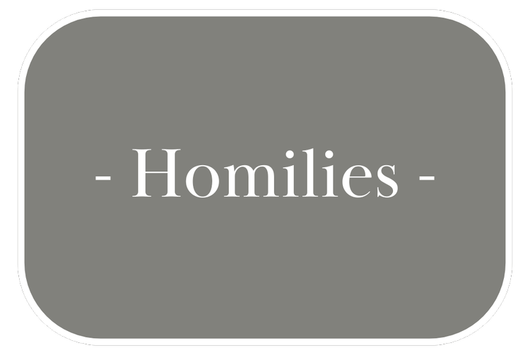 Fr. Steve Mateja - Homilies, Talks, & Conversations