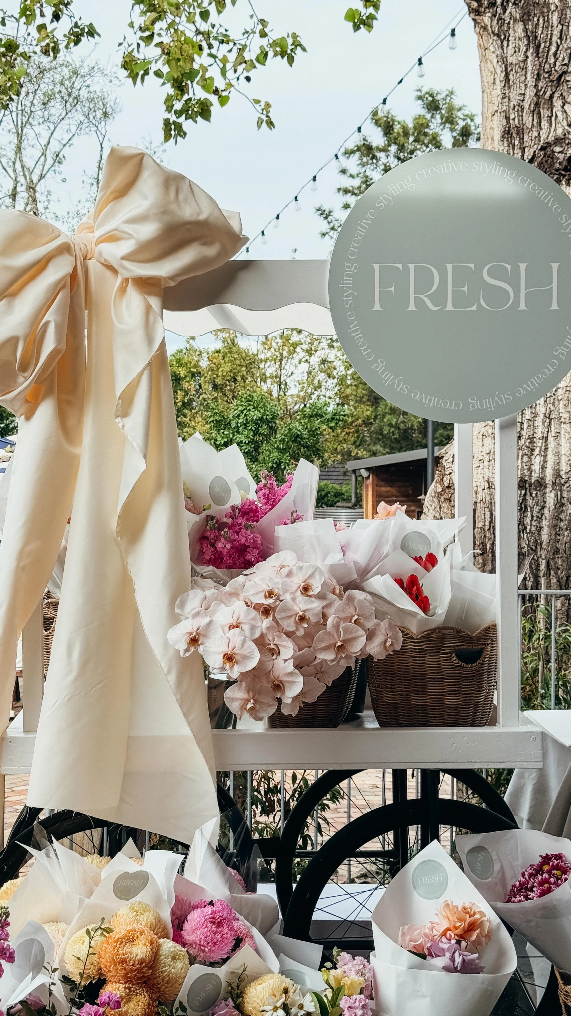 Fresh Creative Styling