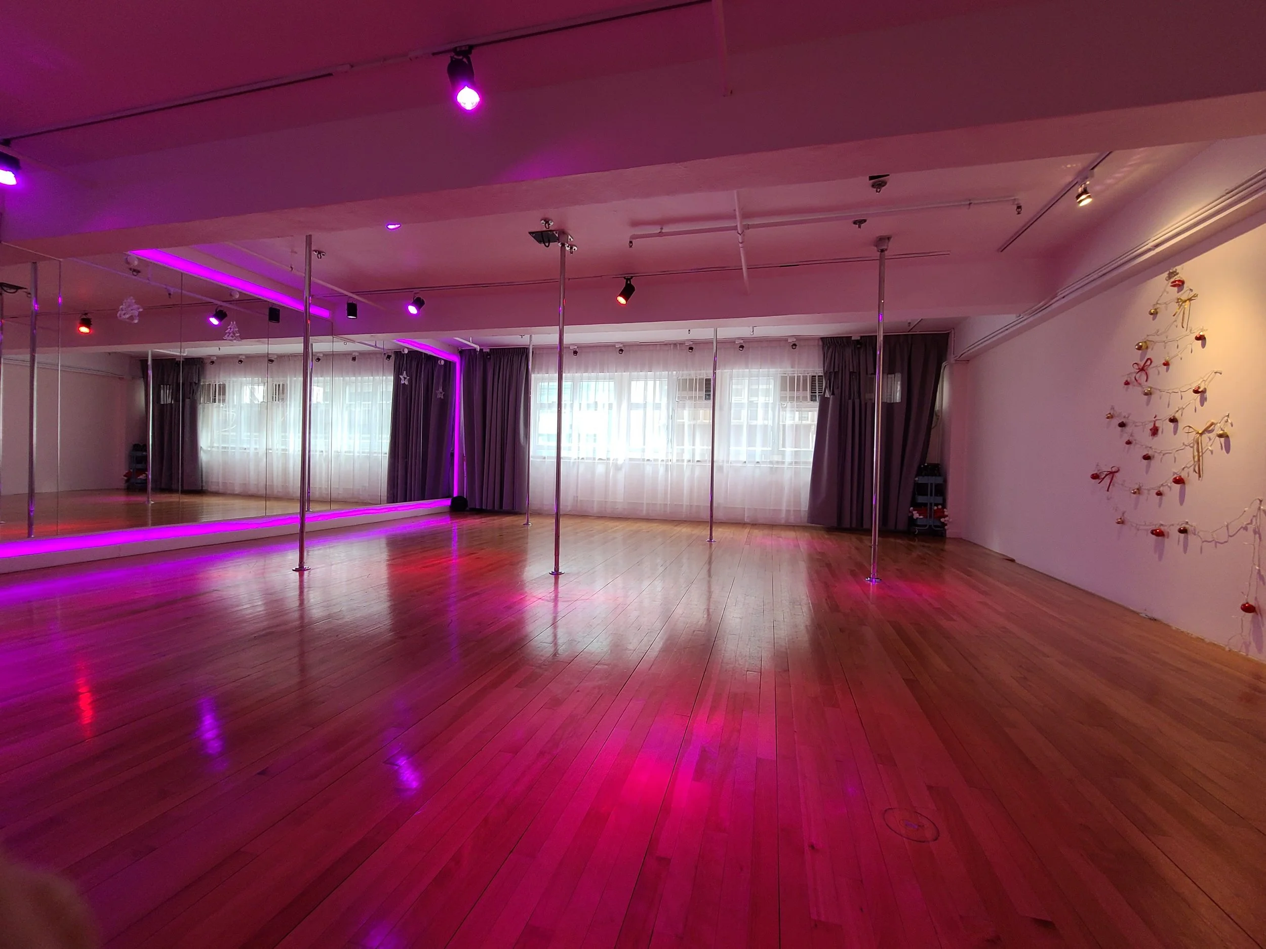 Studio — Flaunt Pole and Dance