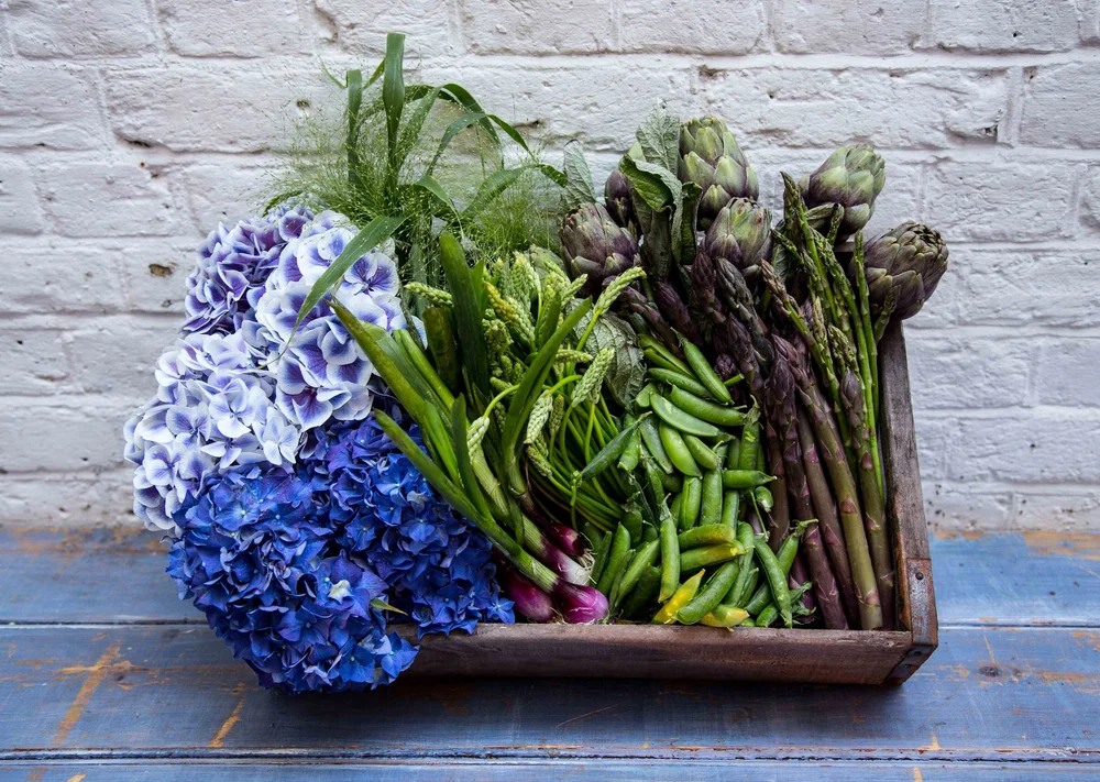 about us — Culinary Collective