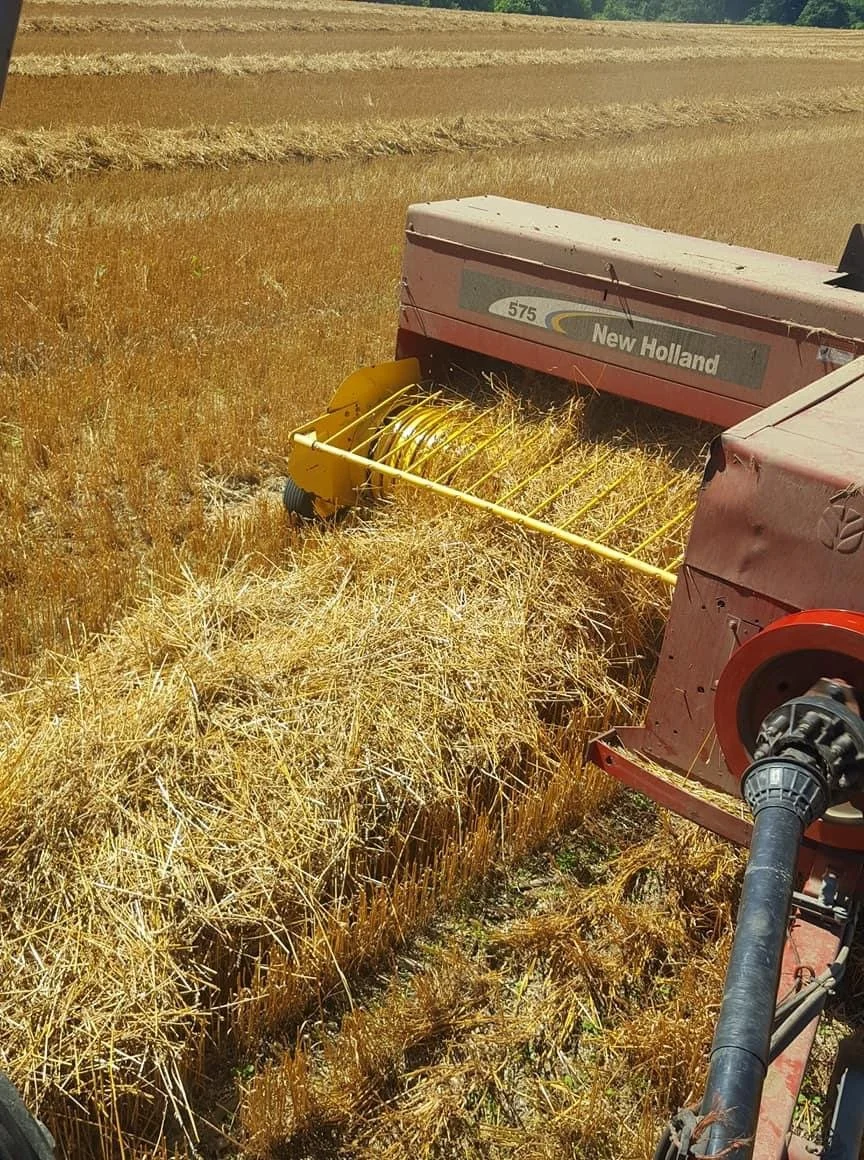 Our Story — Rogers Feed Mill, Inc.