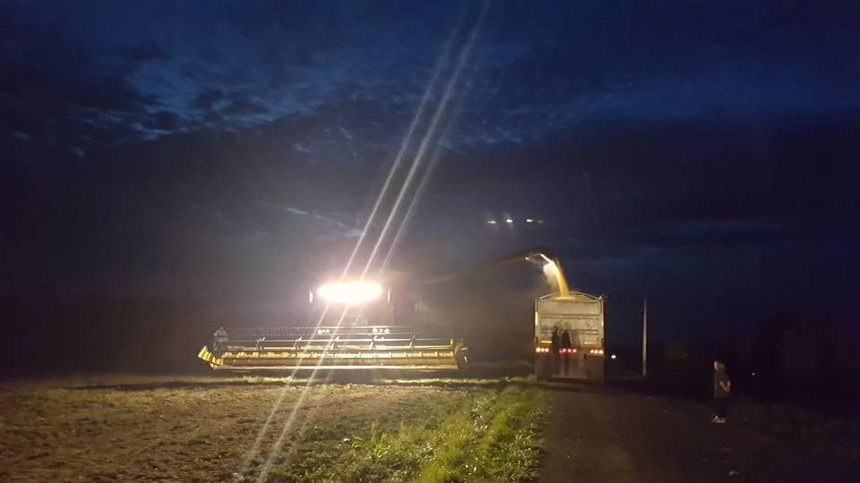 Our Story — Rogers Feed Mill, Inc.