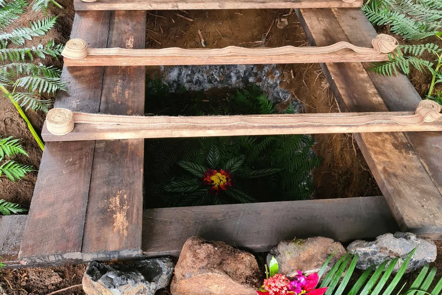 Eco-friendly Burial Services | Gold Coast & Northern NSW — Paperbark ...